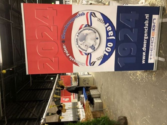 Noordshow 2024 - Nationale Polen- en Kleurdwergenclub (NPKC)