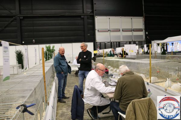 Noordshow 2024 - Nationale Polen- en Kleurdwergenclub (NPKC)