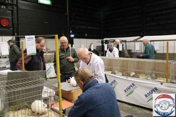 Noordshow 2024 - Nationale Polen- en Kleurdwergenclub (NPKC)