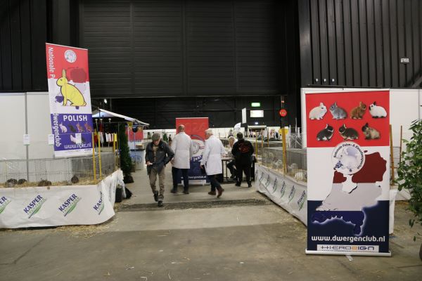 Noordshow 2024 - Nationale Polen- en Kleurdwergenclub (NPKC)